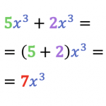 What are like terms? (definition and examples)